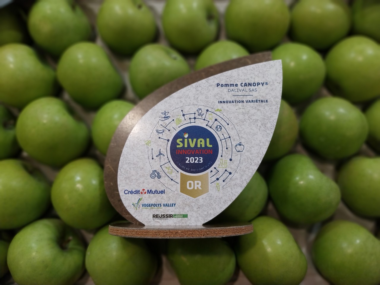 Golden SIVAL Innovation award for Canopy - Ifo